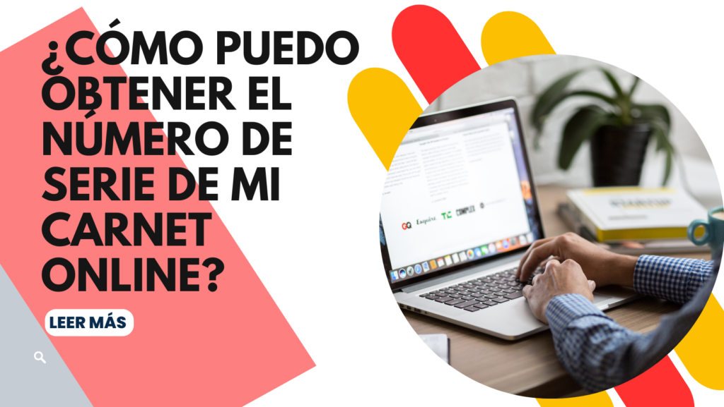 ¿Cómo puedo obtener el número de serie de mi carnet online? - La Mirada de la Semana